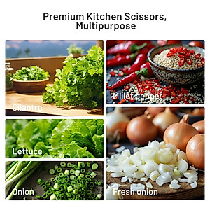 GIEBYIE Herb Scissors, Premium Stainless Steel 5 Blade Kitchen Salad Scissors Dishwasher Safe, Sharp and Convenient 5 Blade Kitchen Scissors with Safety Cover, Herb Stripping Tool and Cleaning Comb