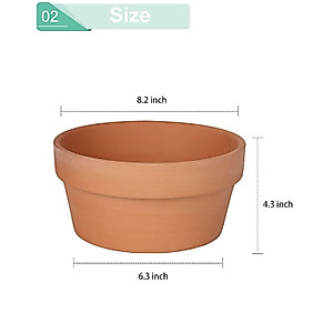 vensovo 8 Inch Terracotta Shallow Succulent Pot - 2 Pack Large Terra Cotta Clay Pot with Saucer, Cacuts Indoor and Outdoor Planters with Drainage Hole