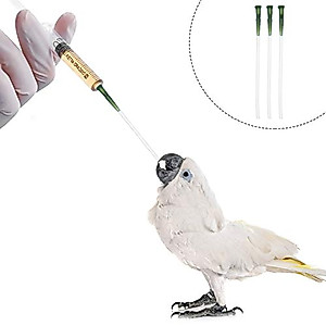 POPETPOP 3pcs Young Birds Feeding Syringe Plastic and Perspex Material for Feeding Milk for Young Birds or Feeding Medicine for Sick Birds