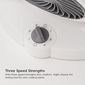 IRIS USA WOOZOO Air Circulator Fan, Vortex Fan, Desk Fan, Portable Fan, 3 Speed Settings, 6 Tilting Head Settings, 74ft Max Air Distance, Large, White