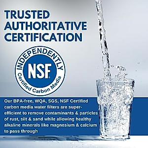 Life Ionizer - Alkaline Brita Water Filter Replacement - Brita Pitchers Compatible Alkaline Water Pitcher Replacement Filter - Enhances Taste and pH Level of Brita Pitcher Water - Pack of 3