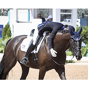 Plughz Horse Sound Off Ear Net, Soundless Bonnet (Grey)