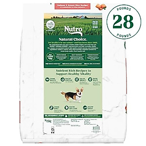 Nutro Natural Choice Small Bites Adult Dry Dog Food, Salmon & Brown Rice Recipe, 28 lb. Bag
