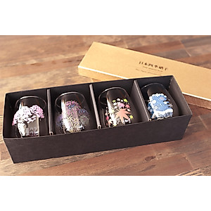 丸モ高木陶器 Japanese Four Seasons Color Changing Glass Cup Set, Magical Blooming Multi-purpose Glasses – Cherry Blossom, Fireworks, Autumn Leaves, Snowflakes