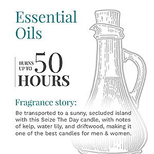 Essential Elements by Candle-Lite Company Wood Wick Scented Candle, Seize The Day, One 16 oz. Single-Wick Aromatherapy Candle with 50 Hours of Burn Time, White