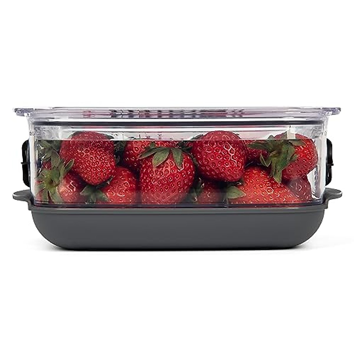 ProKeeper+ by Progressive Stackable Produce ProKeeper Storage Container with Stay-Fresh Vent System (PKS-912 (1.2 qt Berry Keeper))