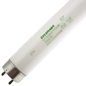 Sylvania 22455 (21777), FO32/830/ECO (CVP), 32 Watt, 48" Length, 3000K, OCTRON/Ecologic Fluorescent Tube Light Bulbs (12 Pack)