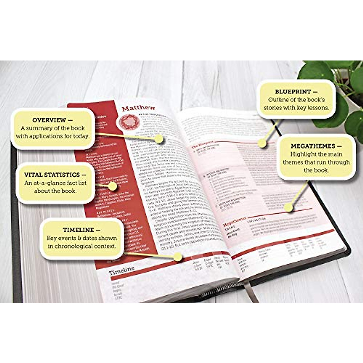 NIV, Life Application Study Bible, Third Edition, Large Print, Leathersoft, Gray/Pink, Red Letter, Thumb Indexed