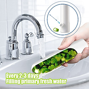 Cilantro Containers for Refrigerator, 2pcs Fresh Herb Keeper, Herb Saver Best Keeper for Freshest Produce, Clear Herb Storage Container Glass for 2-3 Weeks for Cilantro, Mint, Parsley, Asparagus