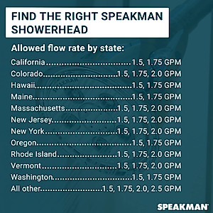 Speakman VS-3011 Chelsea Anystream Multi-Function Handheld Shower Head, 2.5 GPM, Polished Chrome