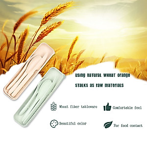 Travel Utensil Set with Case, 2 Sets Wheat Straw Reusable Spoon Chopstick Forks Tableware, Portable Cutlery Travel Picnic Camping or Daily Use (Beige, Green)