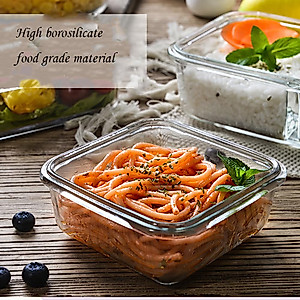 R.repad yay Square Glass Food Storage Containers, Small Square Glass Containers With Airtight Lids, 14oz Glass Meal Prep Containers, Glass Leak-proof Soup Container, Microwave Freezer Safe -(4PC)