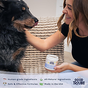 Good Trouble Pets Hip & Joint Supplement for Dogs - Bacon & Chicken Flavor, 30 Chews - Enhance Joint Health & Mobility for Your Canine Companion