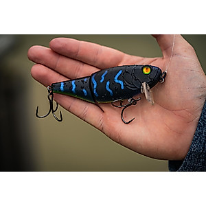 6th Sense Fishing Speed Wake (Live Shiner)