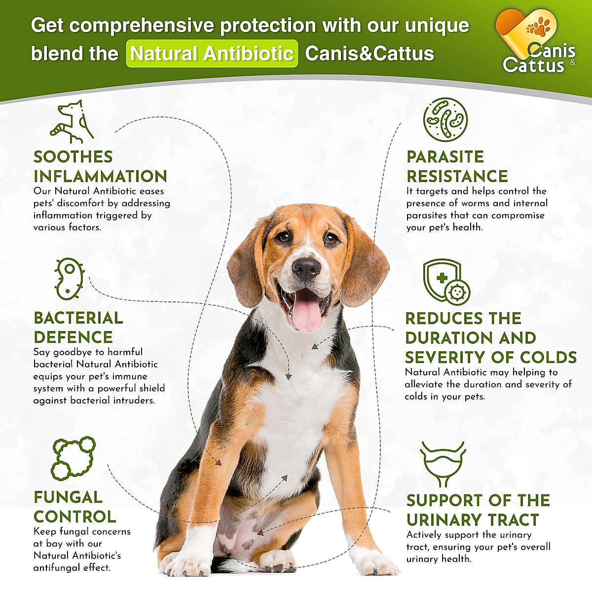 Antibiotics for Dogs | Cat Antibiotic | Pet Antibiotic | Natural Antibiotics for Cats | Dog Antibiotic | Natural Antibiotic for Dogs | Antibiotic for Cats | 2 Oz