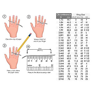 STARCHENIE Heart Promise Ring 925 Sterling Silver Celtic Knot Birstone Ring for Women,January Birthstone Ring Anniversary Engagement Ring Size10