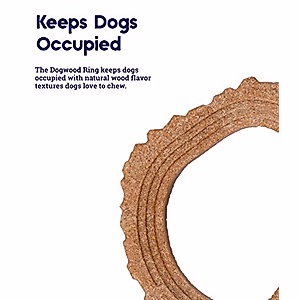 Petstages Dogwood Ring Dog Chew Toy, Small