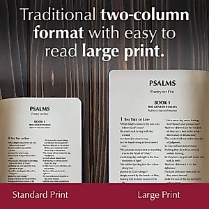 The Passion Translation New Testament, Burgundy, Large Print (Faux Leather) – In-Depth Bible with Psalms, Proverbs, and Song of Songs, Makes a Great Gift for Confirmation, Holidays, and More