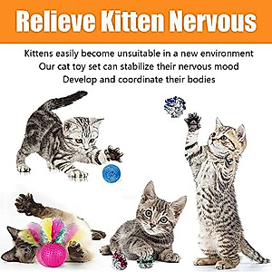 22 Pcs Cat Toys for Indoor Cats Kitten, Cat Tunnel Mouse Toy, Kitten Toys Cat Feather Teaser Wand Spring Toy