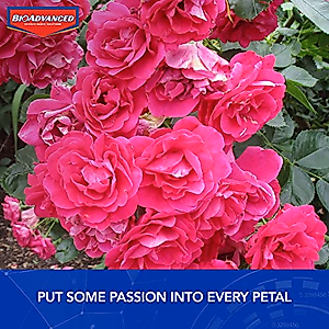 BioAdvanced Rose & Flower Fertilizer, Granules, 4 lb