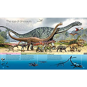 Timelines of Everything (DK Children's Timelines)