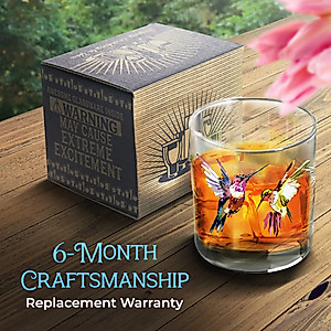 Toasted Tales - Hummingbirds Whiskey Glasses | Gift for Birds Lovers | Funny Gag Party Gift Beer Tailgating | Seasonal Outdoor Decor Glassware | Forest Animals Hummingbird Gifts for Home Decor (11 oz)
