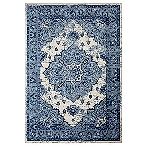 PRIYATE Distressed Vintage Indoor Area Rug 8' x 10' – Persian Style, Medallion, Oriental, Odelia Collection - Easy Clean, Pet Friendly, High Traffic Carpet - Bedroom, Hallway, Living & Dining Room