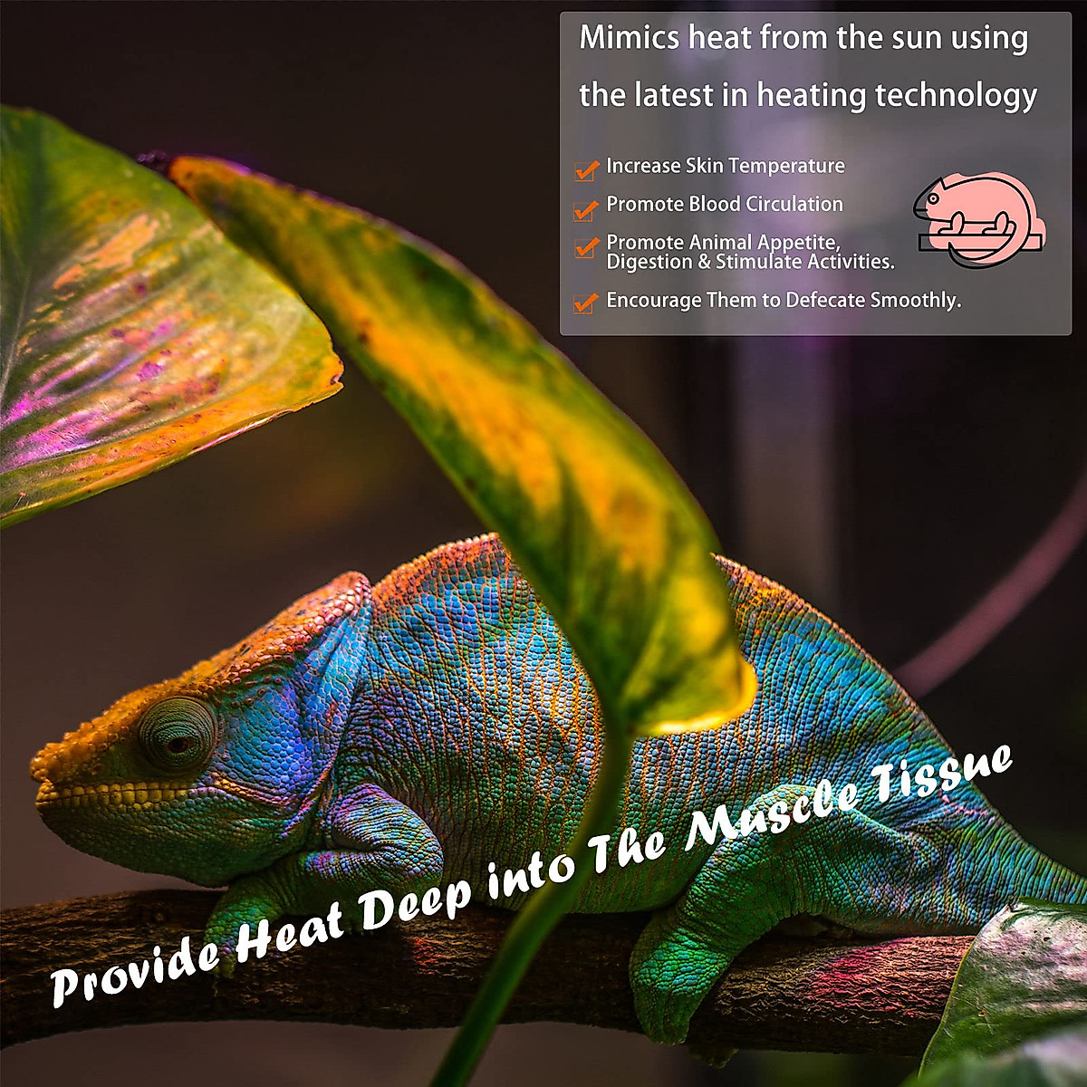 ExoRepti Deep Heat Projector Reptile Heat Lamp Bulb (DHP 55W, PAR30), Basking Light for Bearded Dragon & Leopard Gecko, Carbon Infrared Heater for Amphibian Pet