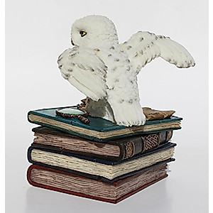 US 4.75 Inch Snow Owl Flap Wings on Books Trinket Box, White Color