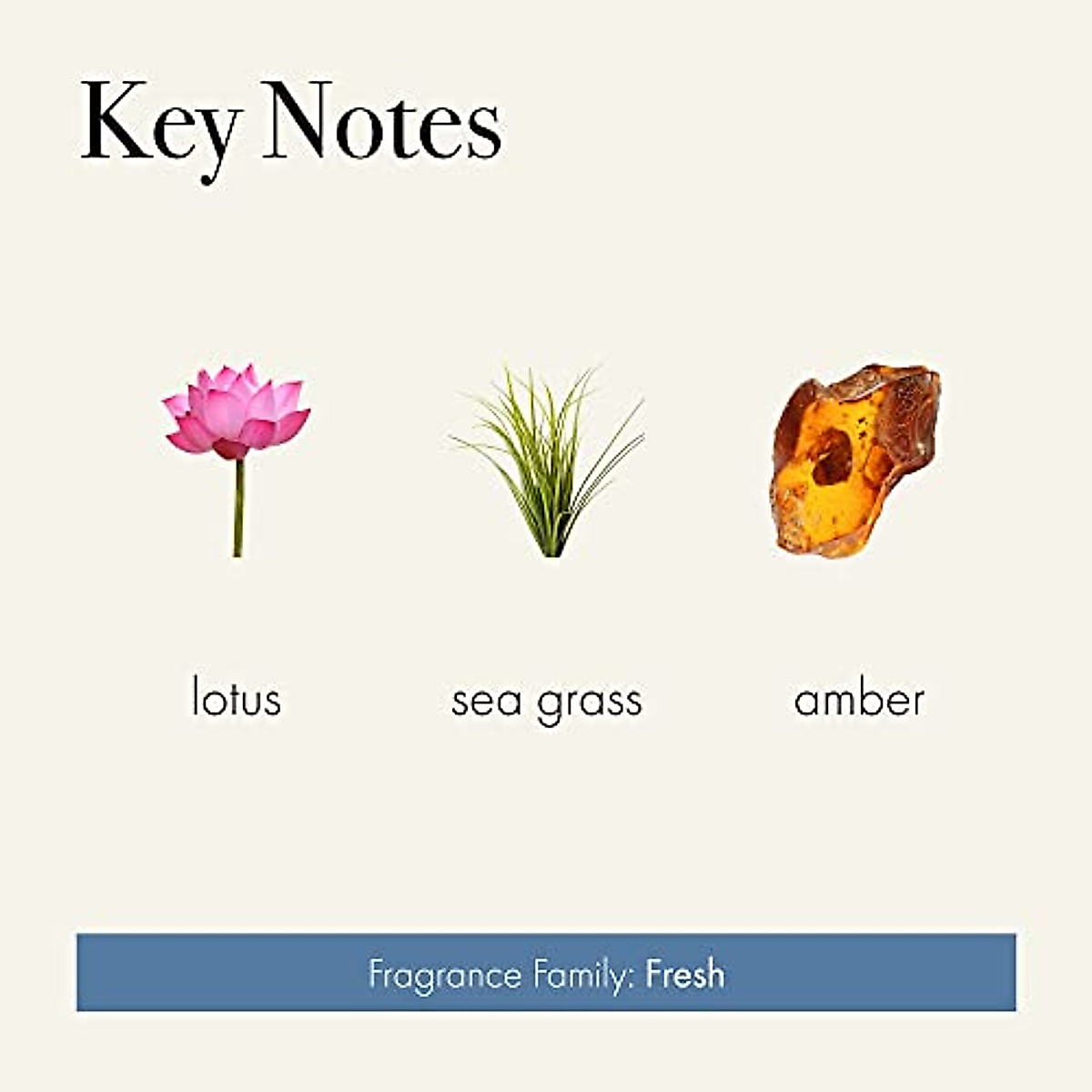 LAFCO New York Signature Candle, Sea & Dune - 15.5 oz - 90-Hour Burn Time - Reusable, Hand Blown Glass Vessel - Made in The USA