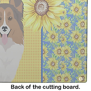 Caroline's Treasures WDK5482LCB Summer Sunflowers Sable Sheltie Glass Cutting Board Large Decorative Tempered Glass Kitchen Cutting and Serving Board Large Size Chopping Board