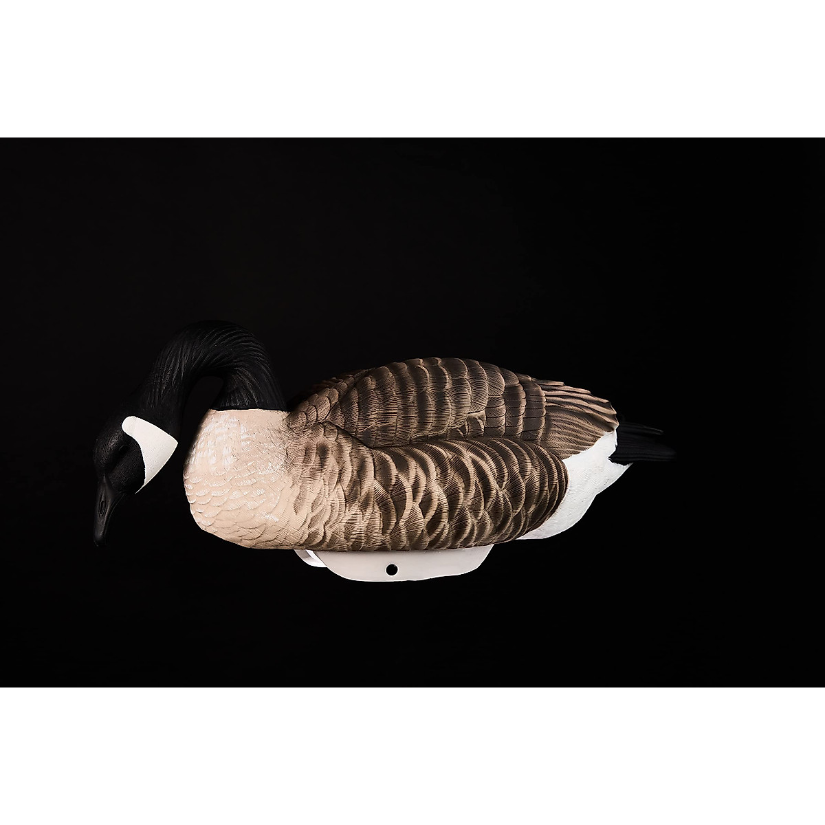 Ultralight 100% HydroFoam Canada Goose 4 Pack - Light as a Feather - Lasts Forever