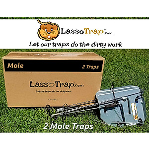 LASSO TRAP Mole (Small) Trap (Pack of 2) Galvanized & Oil Hardened Steel//Super Cost-Effective, Reusable, & Durable Animal Trap Best in The Lawn, Yard, Garden, Farm, & All Outdoor Settings