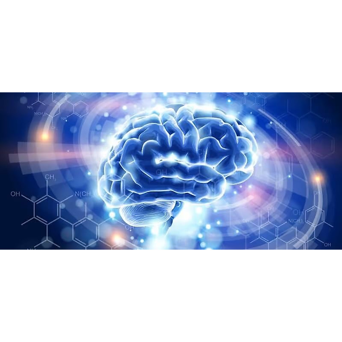 A2Z Laboratories Noopept Powder/ 50 Grams/USA Made/Same Day Ship/, 0.88 Ounce (Pack of 1)