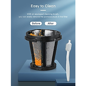 Juicer Machines, HOUSNAT Professional Celery Slow Masticating Juicer Extractor Easy to Clean, Cold Press Juicer with Quiet Motor and Reverse Function for Fruit & Vegetable, Brushes & Recipes Included