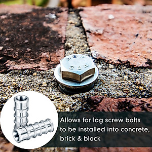 30 Pack 9071456 Lag Shields,3/8 in. x 1-3/4 in. Lag Screw Bolts Concrete Anchors Masonry Anchors Zinc Alloy Plated