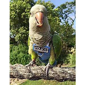 Bird Clothes Parrot Diapers Bird Flight Suits, Reusable Waterproof Diapers pet Bird Supplies Poli(L)