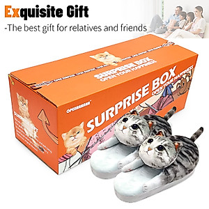 Funny Cat Slippers for Women, Kawaii Bedroom Fuzzy House Slippers,Indoor and Outdoor Animal Slippers,Cozy Non-Slip,Christmas Cat Gifts for Cat Lovers Gifts For Women/Men's/Girls (Grey Cat)