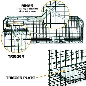 HOMESTEAD Heavy Duty Live Trap - Professional Style One-Door Live Animal Traps for Rabbit, Squirrel, Possum, Skunk, Kitten, Mink