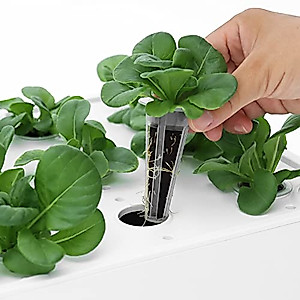 iDOO Seed Pods kit ID-IG301 ID-IG303 ID-IG302 I-D-01 Hydroponics Garden Kit with 12 pcs Growth Sponges, 12 pcs Basket Kit, 12 pcs Tags, A&B Solid Nutrient (Seeds not Included)