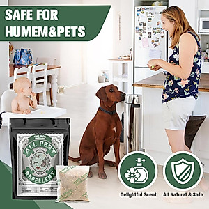 Two Bros. Repellent Pest Control Pouches,Mouse Repellents,Peppermint Pest and Rodent Repellent for Mouse/Rat/Mosquito, Naturally and Strongly Repel Spider,Roach,Bugs,Ant, & Other Pests -10P, Black