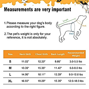 Filhome Ladybug Dog Costume, Halloween Dog Ladybug Costume Outfits Cute Cat Warm Apparel Fall Winter Christmas Clothes for Small Medium Pet(S/RED)