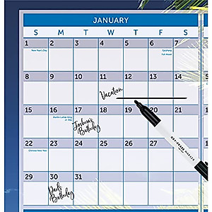 Office Depot® Brand Reversible Erasable Wall Calendar, 36" x 24", Paradise, January To December 2023, ODUS2201-001