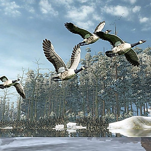 Cabelas Outdoor Adventure 2010 - Nintendo Wii