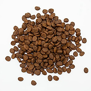 Oxbow Animal Health Essentials Ferret Food - 4 lb