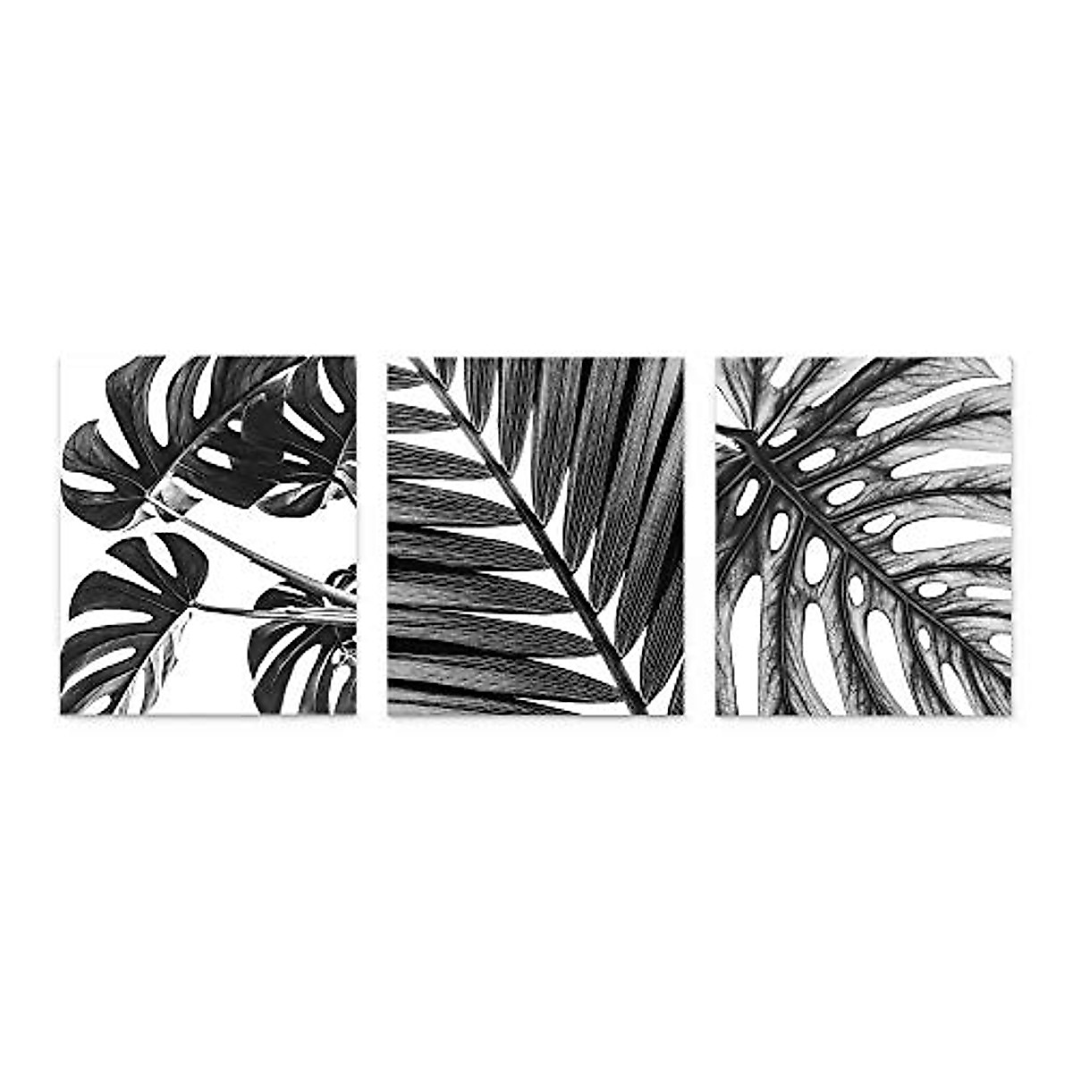 Grey Tropical Leaf Botanical Wall Art 3 Piece Print Set 8x10 Unframed Black and White Monstera and Palm Leaves for Bathroom, Bedroom Home Decor Idea