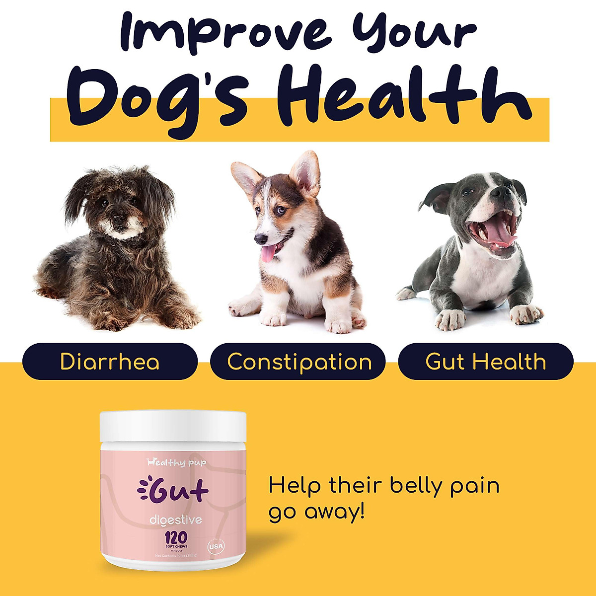 Dog Probiotics and Digestive Enzymes, 120 Delicious Chew Treats for Gut Health, Diarrhea, and Constipation - Hydrolyzes Nutrients for Better Absorption