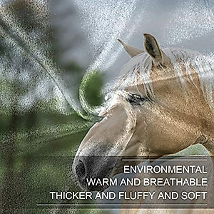 Blueangle Beautiful Palomino Horse Print Velvet Blanket Throw Size Luxury Bed Blanket Lightweight Fuzzy Soft Blanket Microfiber, 50 x 60 Inches