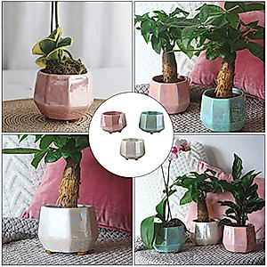 Happyyami 3pcs Flowerpot Office Decor Ceramic Plant Container Mini Plants Miniature Holder Marbling Plant Pot Home Modern Decor Plant Basin Decorative Flower Pot European Style Bonsai Pot