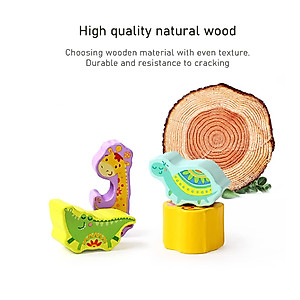 Montessori Toy for 3 4 5 6 Years Old Animal Wooden Building Blocks Staking, Animal and Noah Boat Balancing Game, STEM Preschool Educational Toys, Gift for Kids